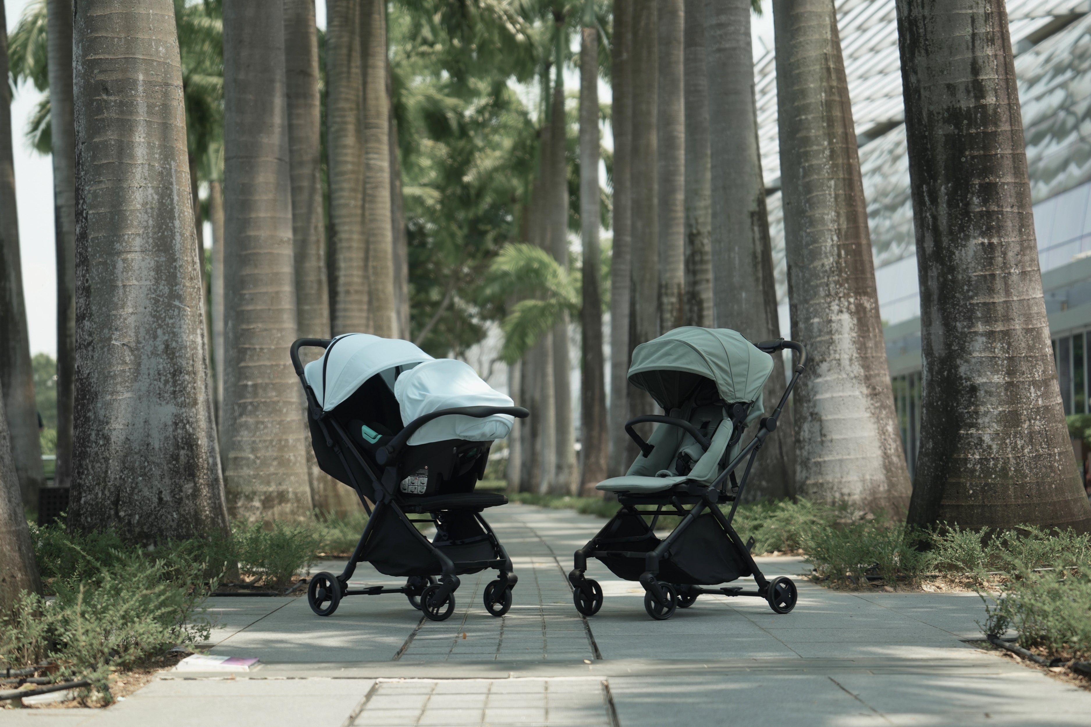 Account – Mimosa Official